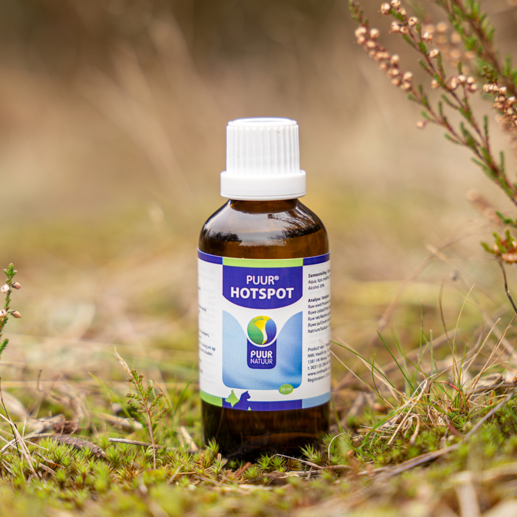 PUUR Hotspot 50ml | NML health
