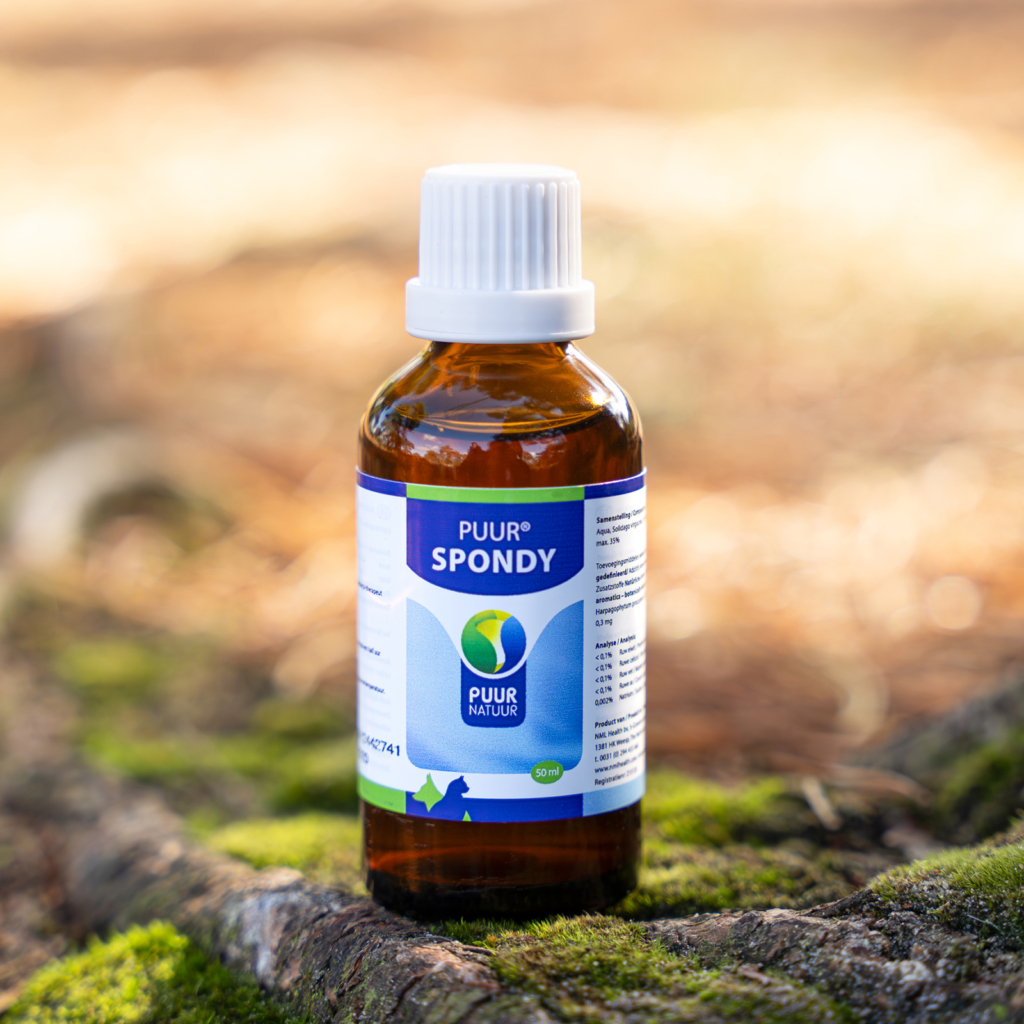 PUUR Spondy 50ml | NML health